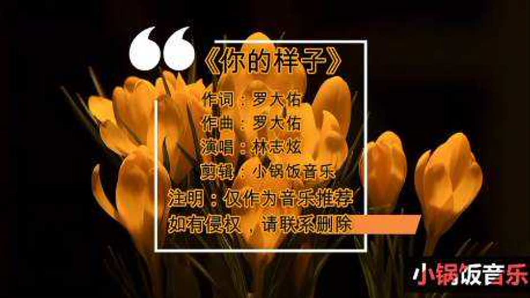 林志炫《你的样子》声音好听,堪比罗大佑