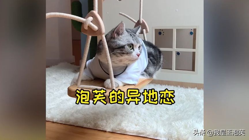 期待泡芙和安生下一次见面