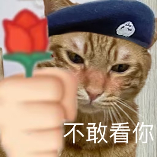 吃煎饼吗 