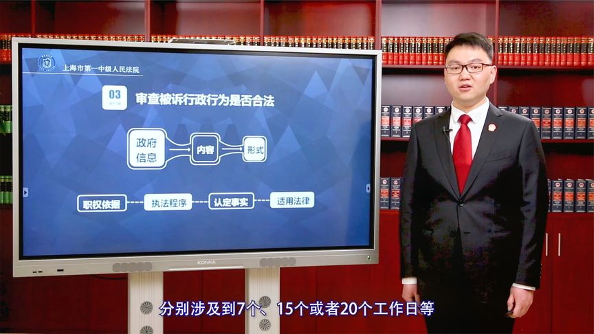 法律适用微课程 | 刘天翔:政府信息公开案件审理思路与裁判要点