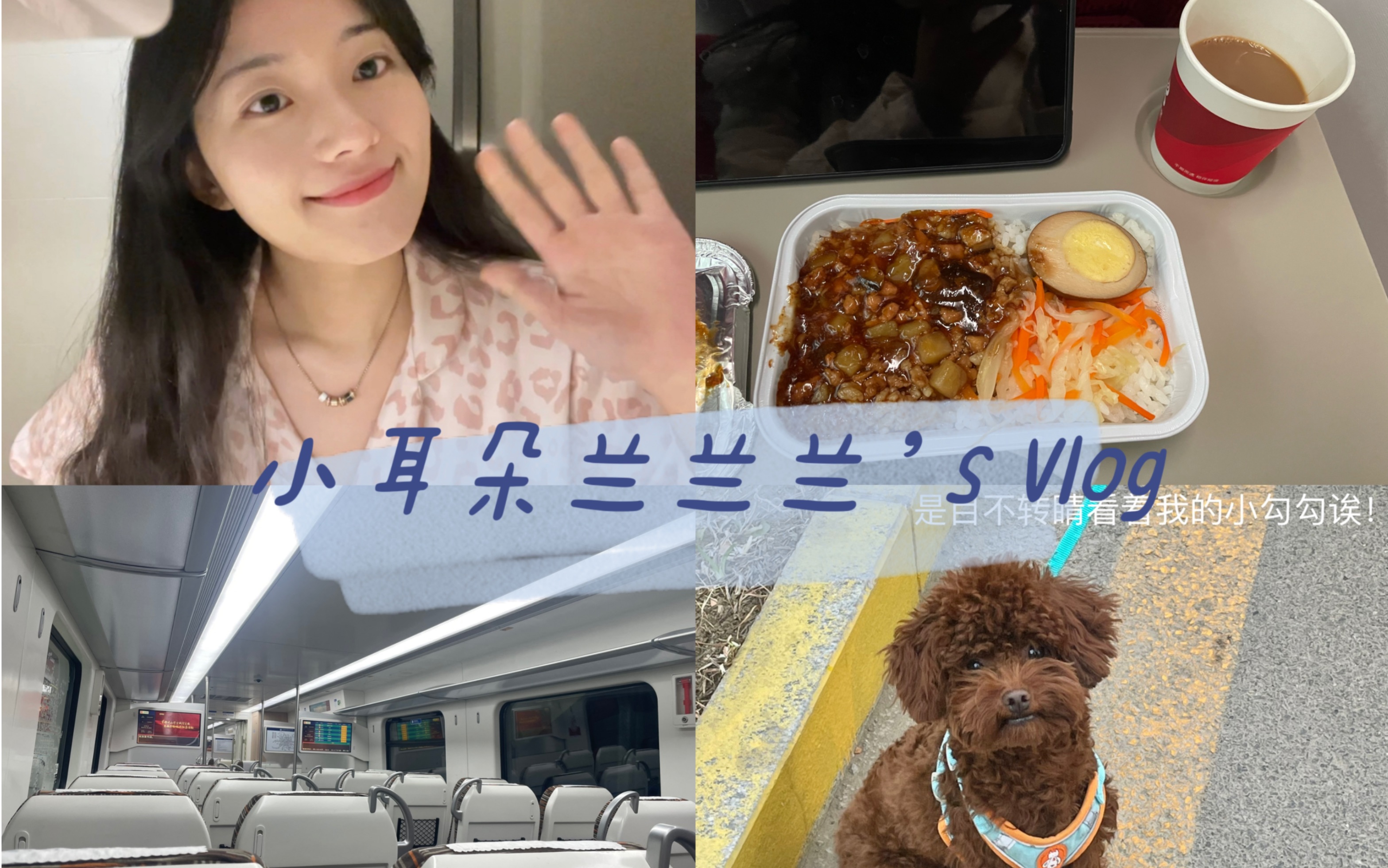 Vlog| 四大审计人的一天/天选出差打工人✈️