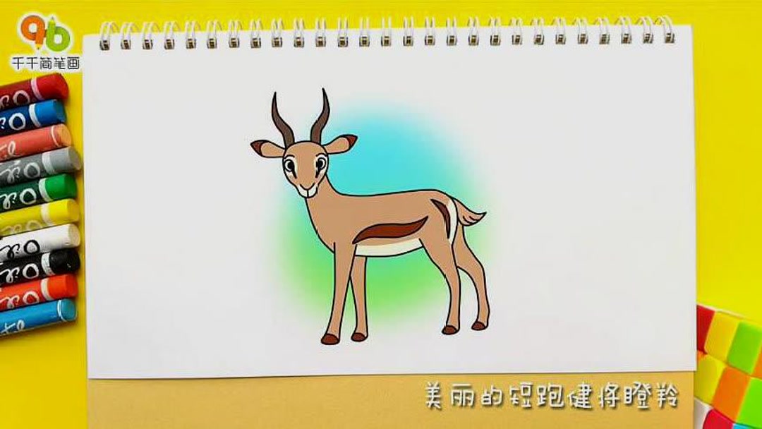 儿童简笔画:美丽的短跑健将瞪羚