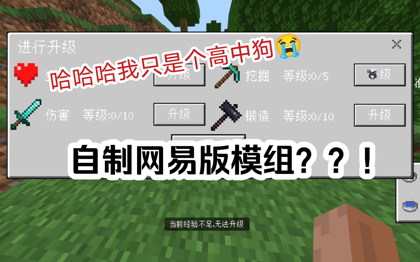 【幻尘】我的世界自制模组开发日志P1啦啦啦