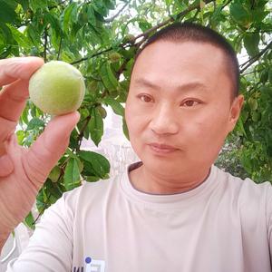 肖哥在农村 