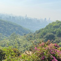知识交易所 