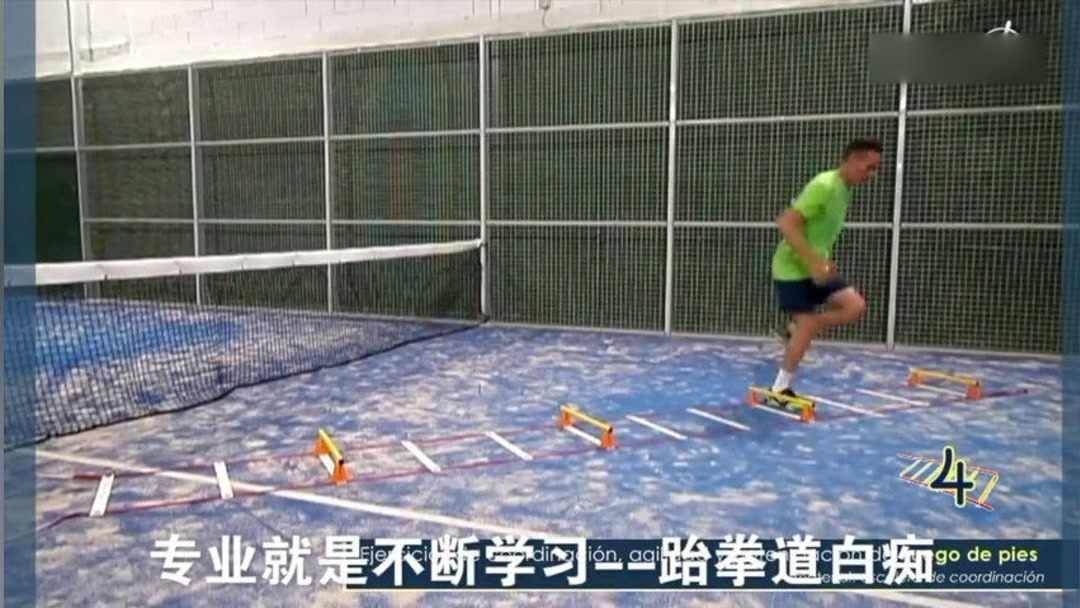 绳梯与小跨栏的组合步伐训练