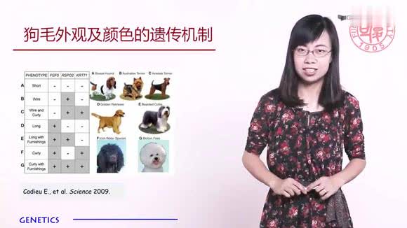 复旦老师主讲遗传学:第13讲,非等位基因间的相互作用