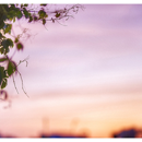 儿童益智动漫乐园 