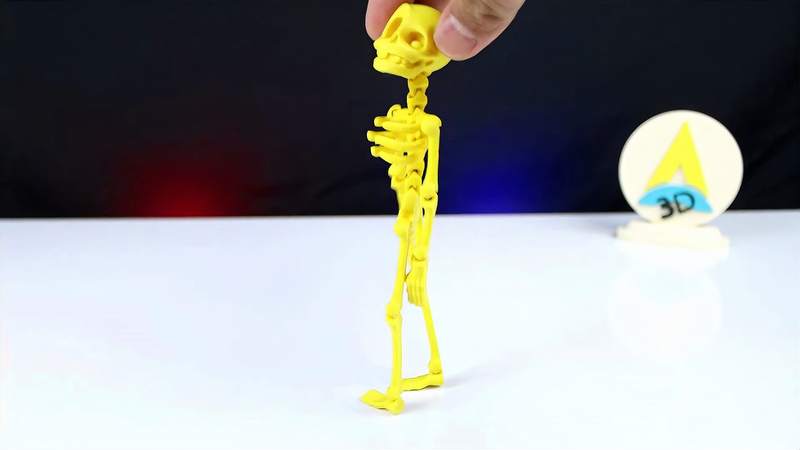 3D打印可活动骷髅模型分享