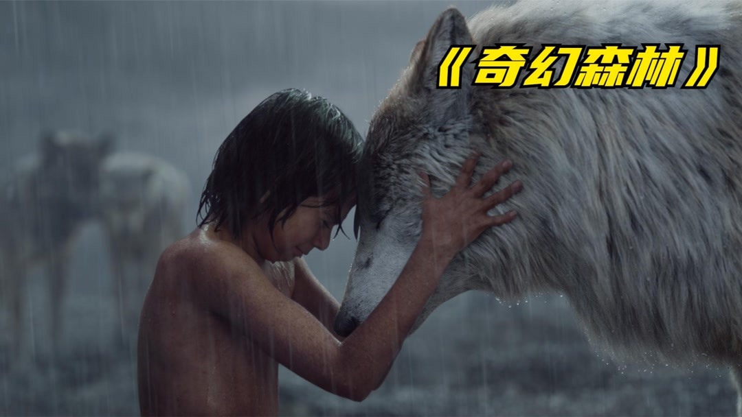 与狼群一起长大的野孩子,为爱复仇