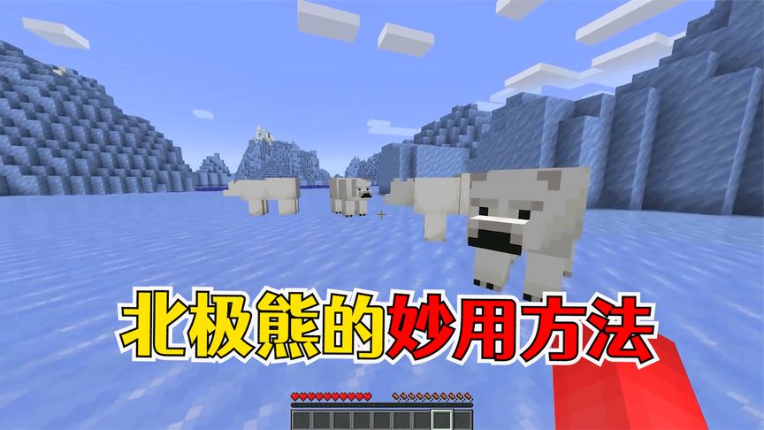 我的世界:盘点那些实用的游戏技巧,北极熊还能保护鸡舍!