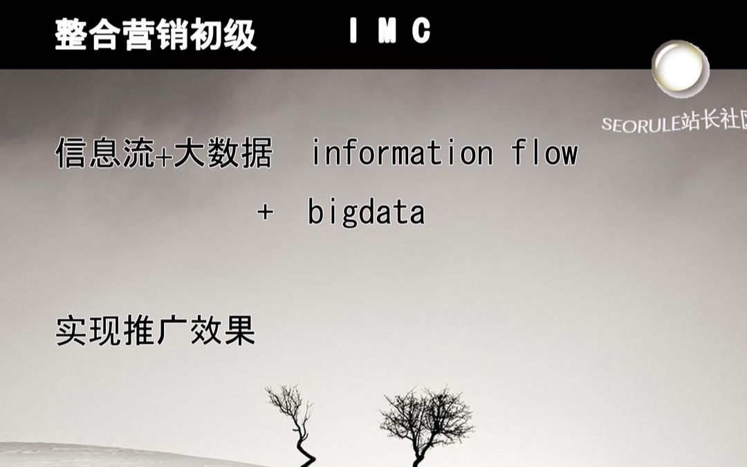 整合营销:借助信息流大数据应用实现推广目标与效果 赵龙授课