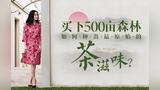 一刻 | 买下500亩森林,如何种出最原始的茶滋味?
