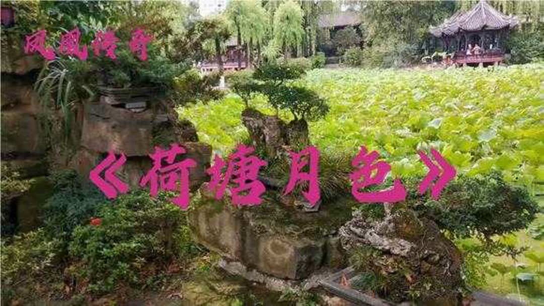 凤凰传奇《荷塘月色》太好听了,回忆起童年的美好时光