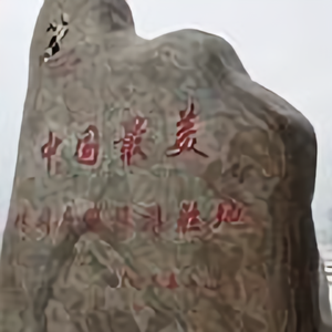 半生飘零 