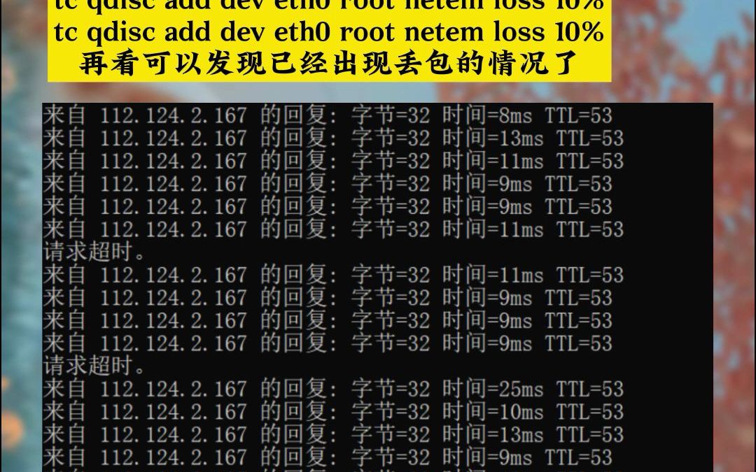 性能测试 Linux 环境下模拟延时和丢包实现