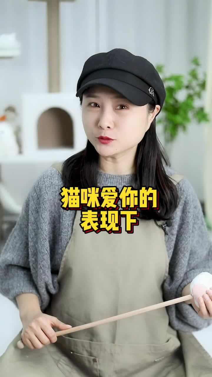 小猫咪爱你的6种表现,你一定要知道