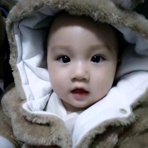 初中数理百晓生 