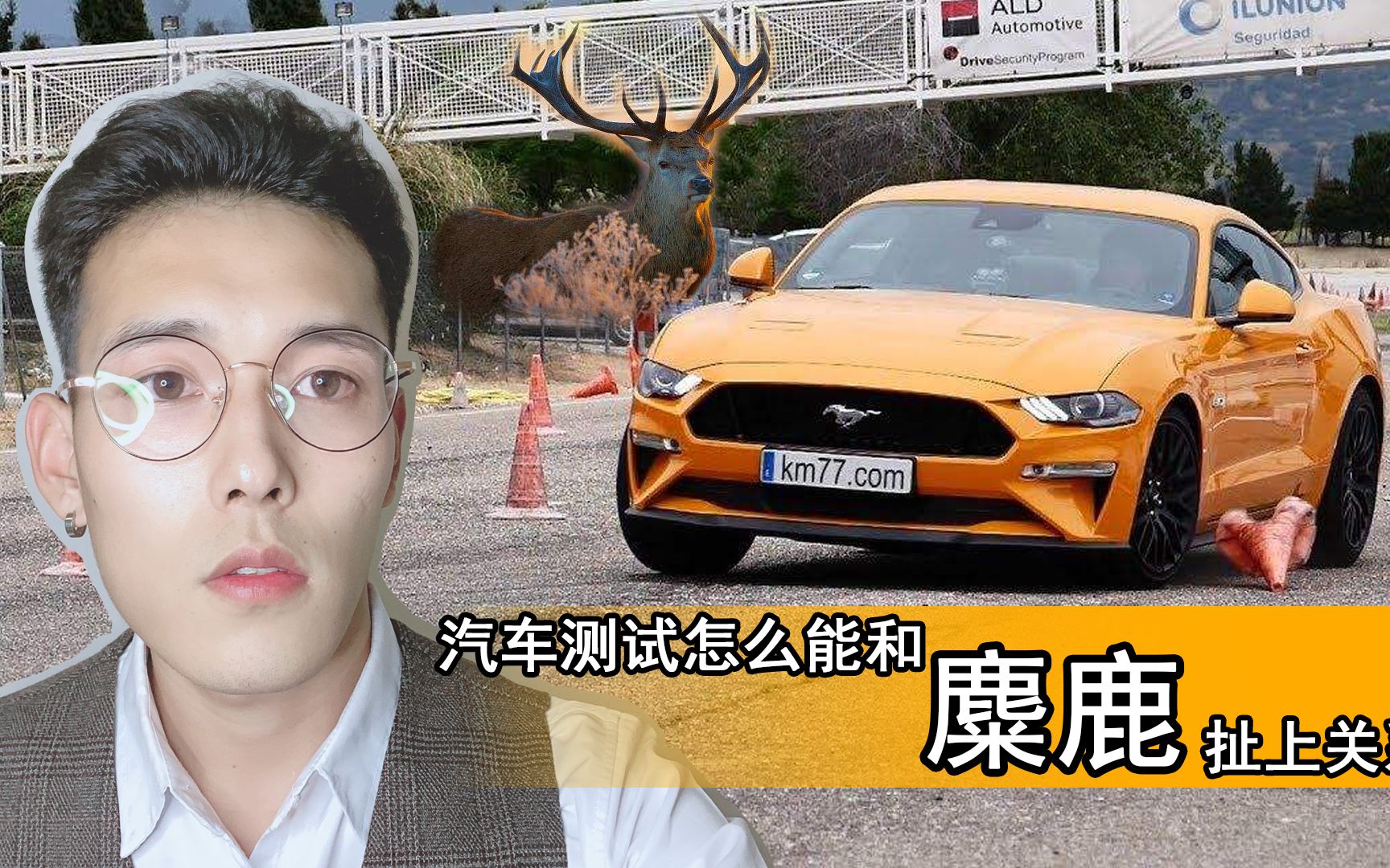 汽车安全测试和麋鹿有什么关系?为什么叫麋鹿测试
