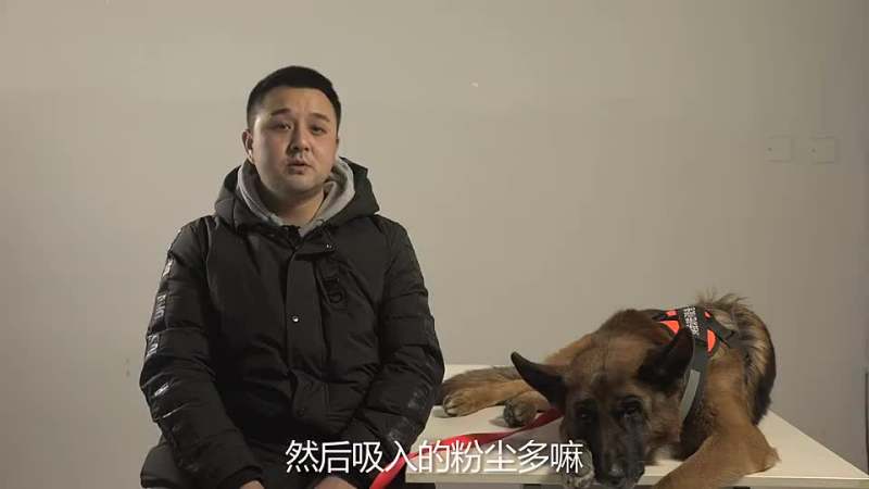 搜救犬退役后:主人我不累,我还能坚持!