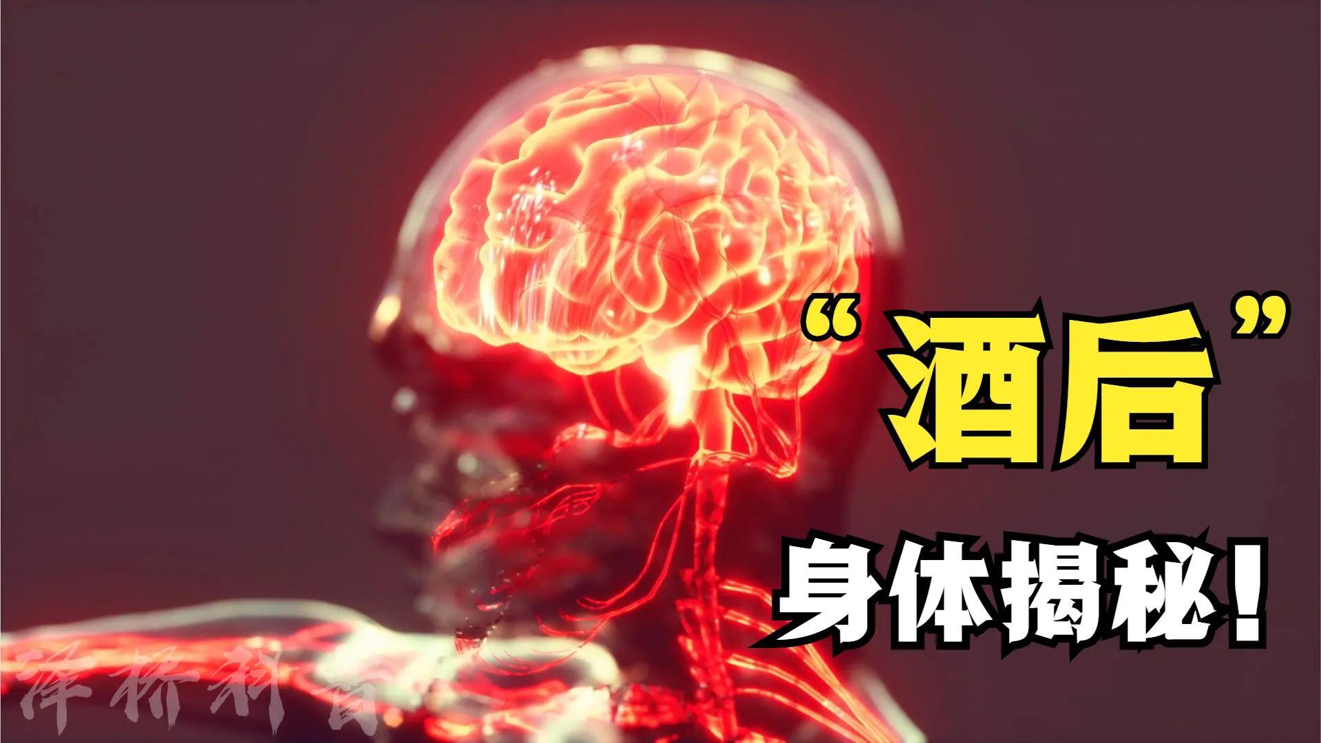 酒精是如何偷走你的健康?3D动画带你一探究竟!