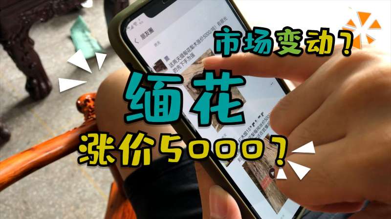 2020年红木家具两极分化:开年清仓处理,如今缅花涨价火遍朋友圈