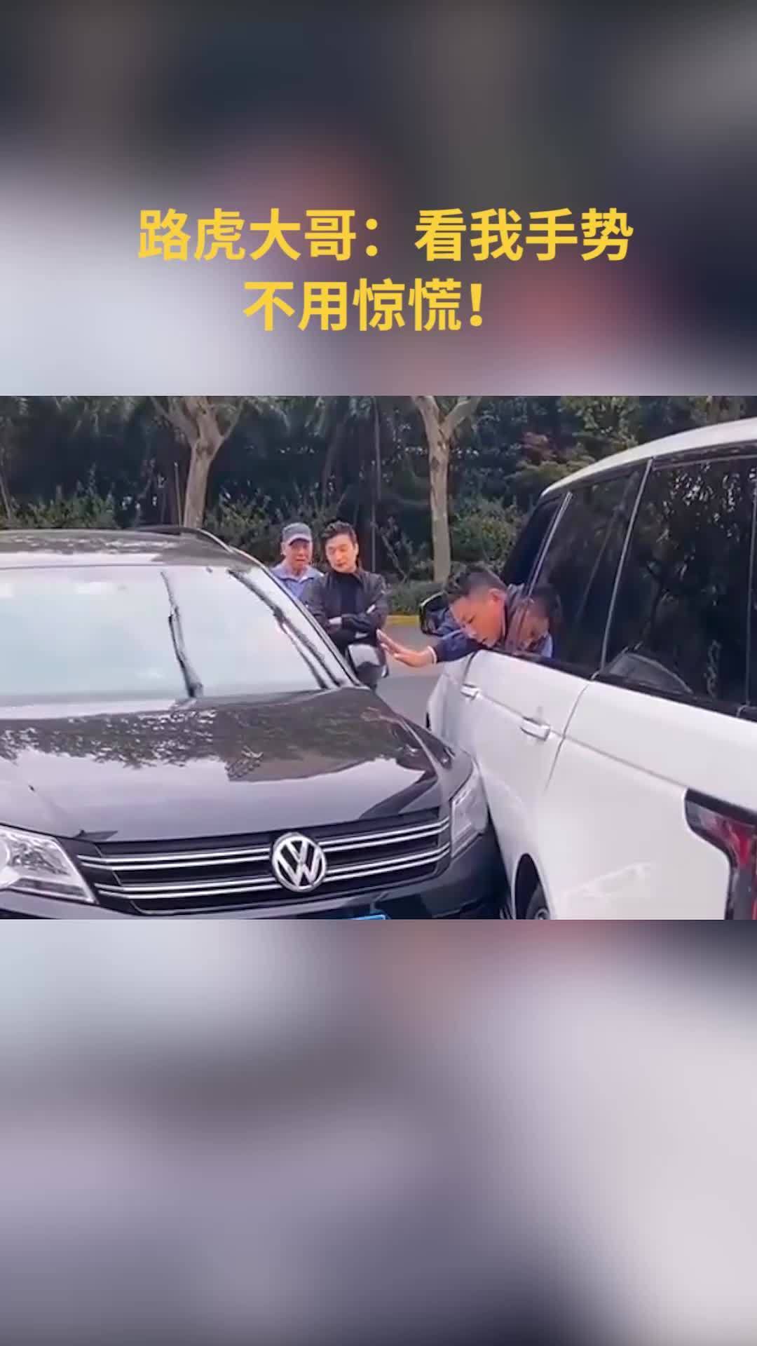 路虎大哥:看我手势,不用慌!