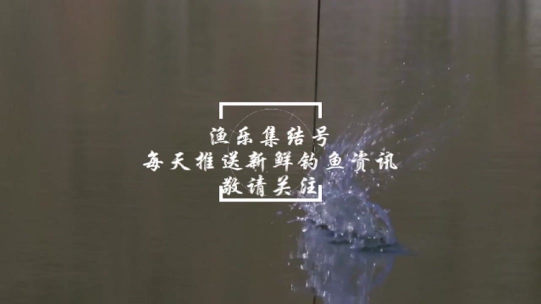 两分钟钓鱼小常识:主线与竿稍的另类绑法!