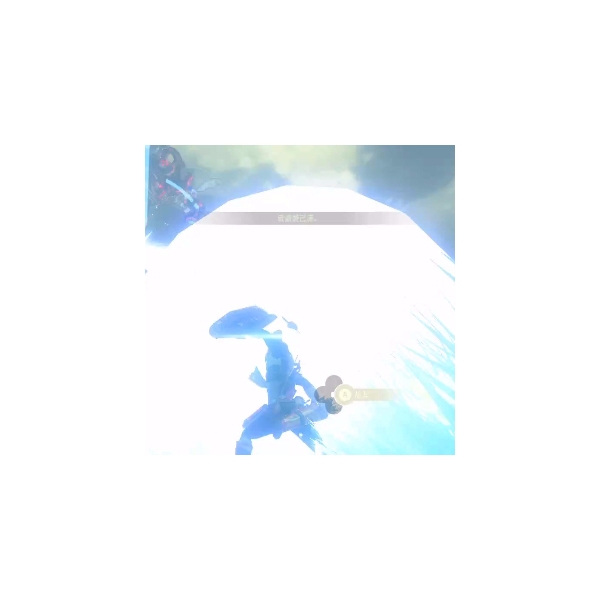 胖子73408935 