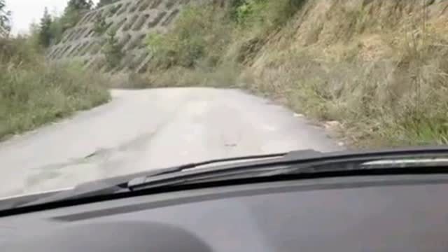 司机拿到驾照六个月了,今天开手动挡上路,看看这技术确实如何