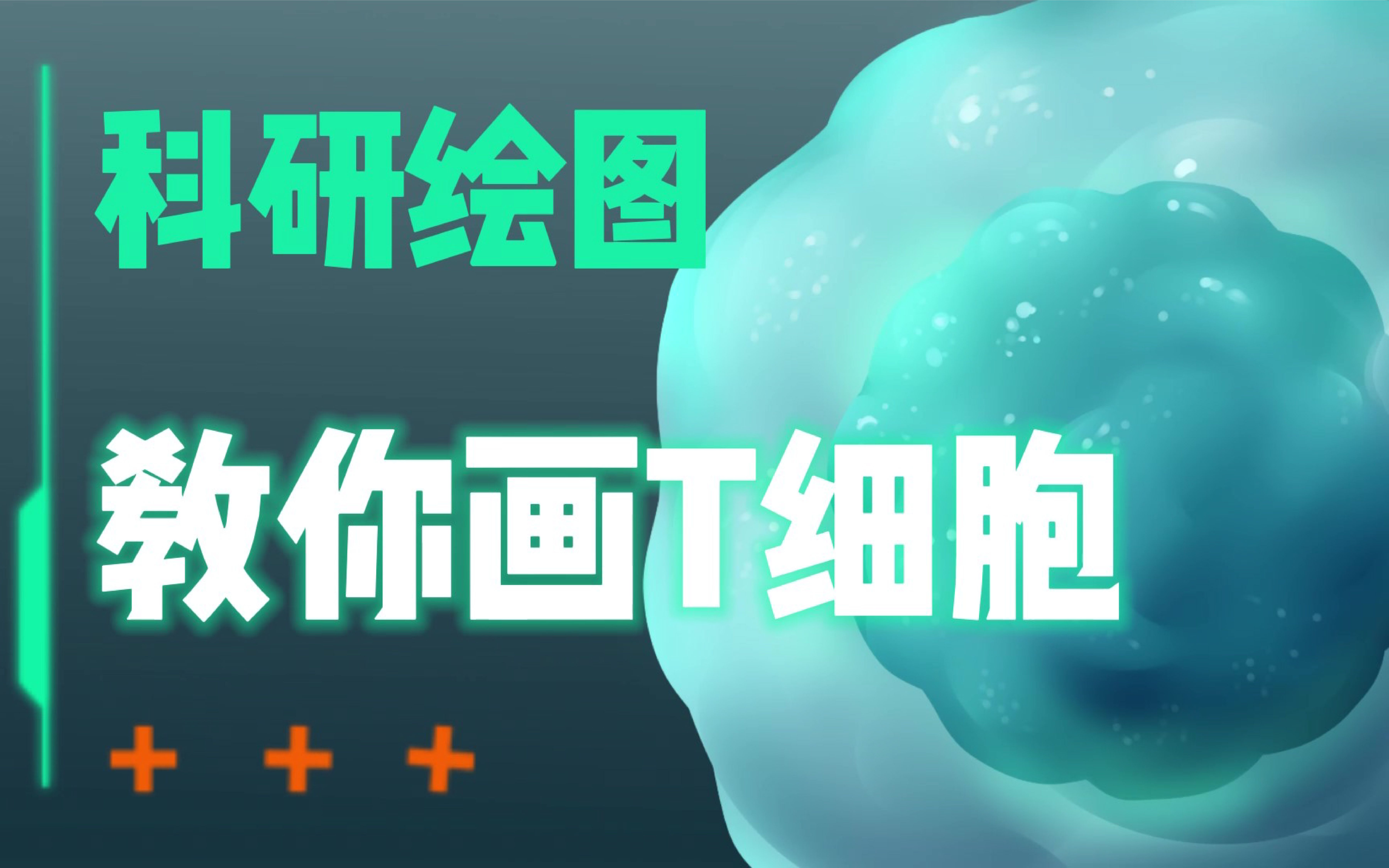 【科研手绘】T细胞