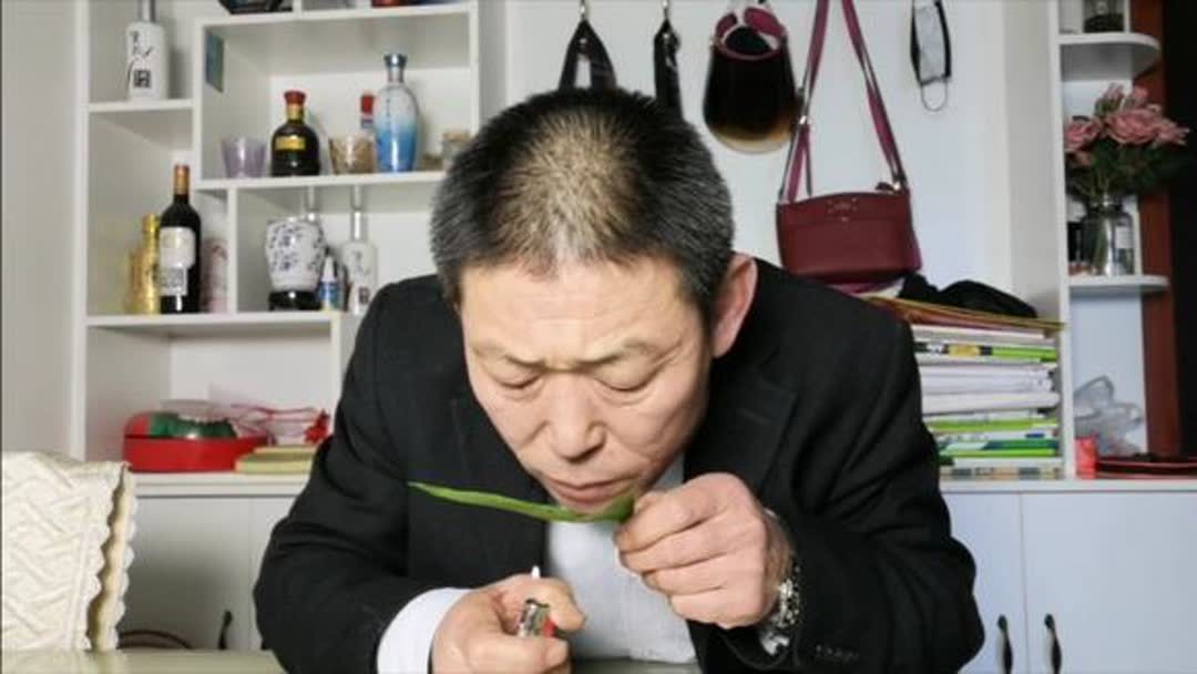 教农民分清农作物真菌、细菌、病毒、生理性病害的方法