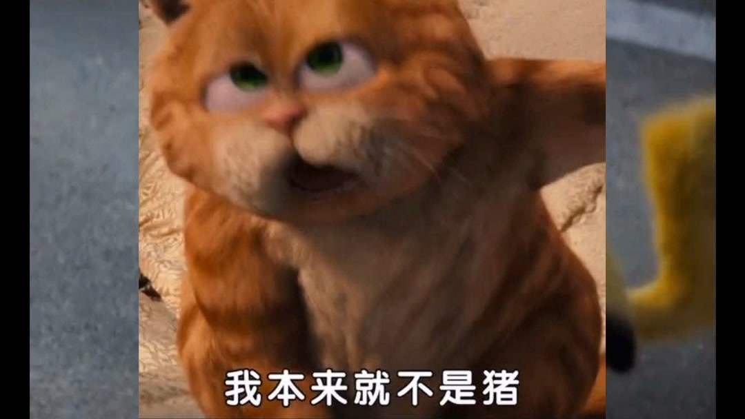 加菲猫爆笑动画:这是一只沙雕加菲猫,看一遍笑一遍