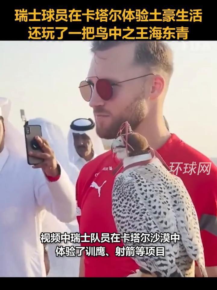 ...球员在卡塔尔体验土豪生活,还玩了一把鸟中之王海东青#2022世界杯