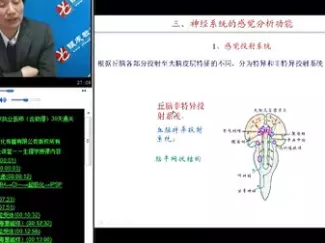 第08章-神经系统的功能(65分钟)