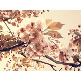 基汇平板打印机 