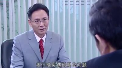 罪域:国营企业资金周转不开,郭市长和书记说服总裁拍卖资产