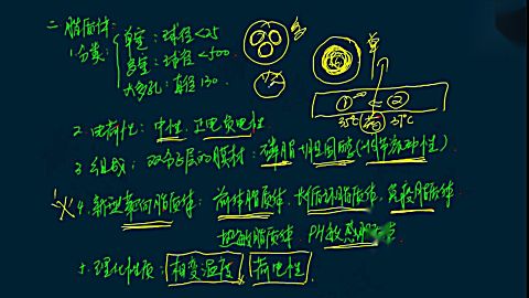 2019年执业药师药学专业知识一独家视频9