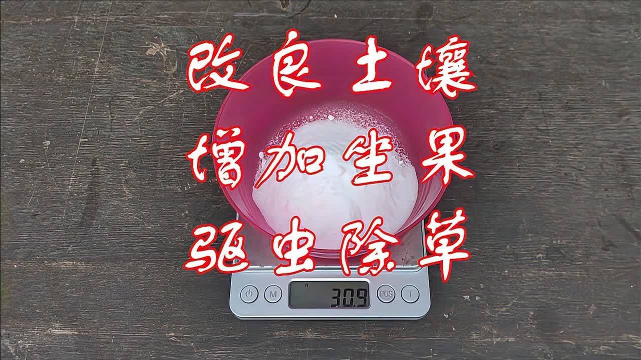 硼砂在园艺中作用:改良土壤,增加坐果,驱虫除草