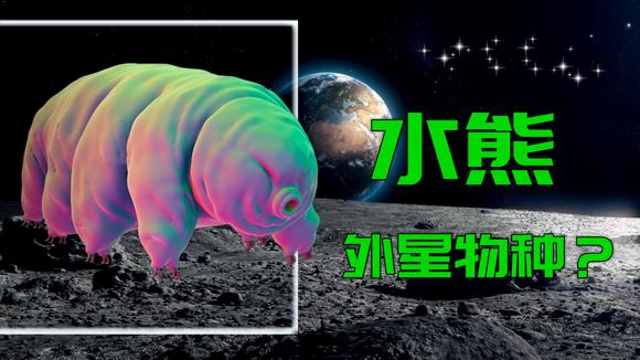如果“水熊”是地球上的外星物种呢?生命进化树上最不寻常的生物