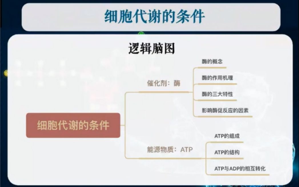 细胞代谢的条件(酶的系列课)