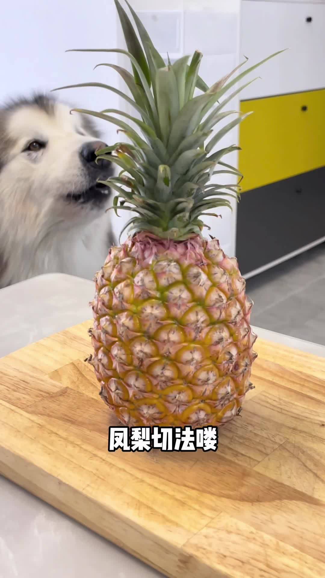 我来教大家最简单的凤梨切法喽