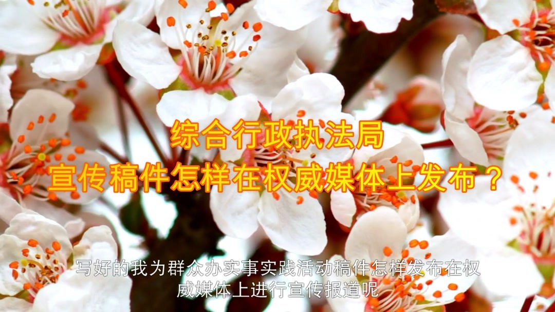 我为群众办实事实践活动稿件怎样发布在权威媒体上?