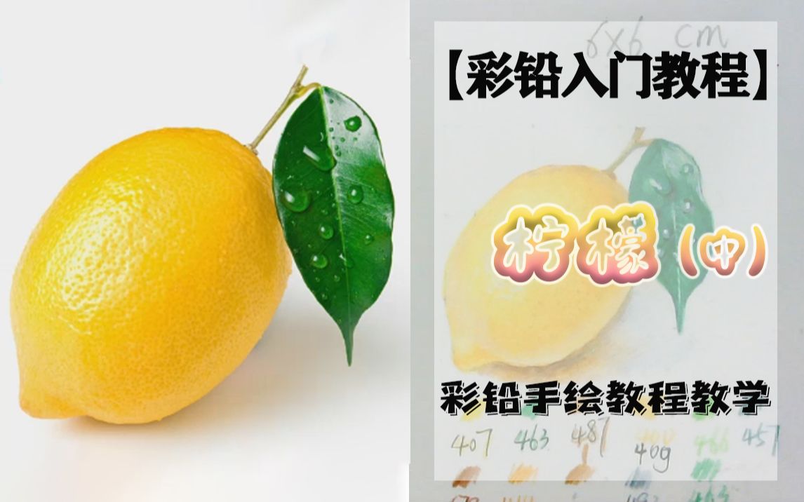 【彩铅入门教程】彩铅水果基础教程——柠檬中