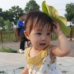 米果爱旅行 