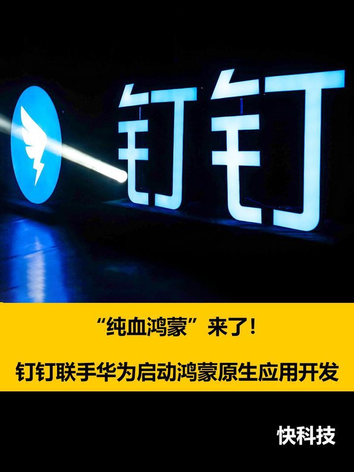 “纯血鸿蒙”来了!钉钉联手华为启动鸿蒙原生应用开发#钉钉 #鸿蒙...