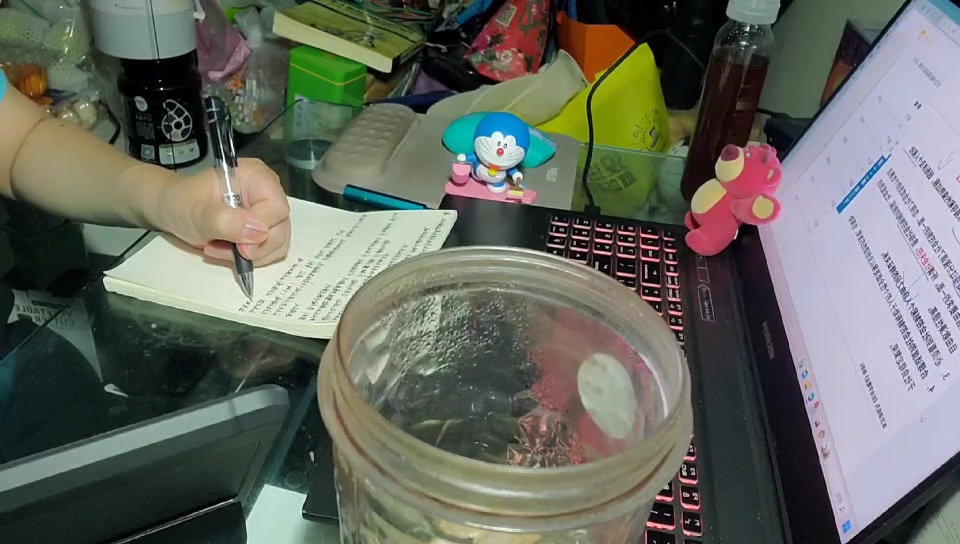 2024.3.27 我们从母亲生产的痛苦中来到这个世界,最终又会在痛苦中...