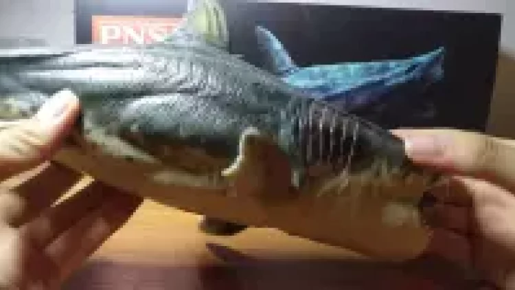 天翔上传 PNSO恐龙大王10 巨齿鲨 megalodon
