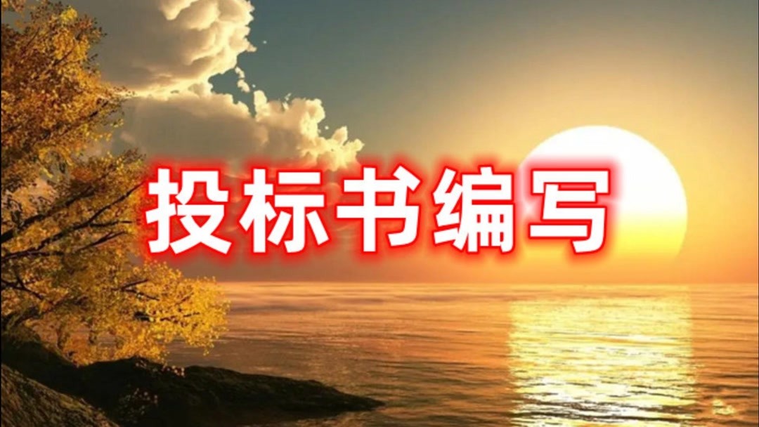 项目标书怎么做 投标书编写 标书注意事项