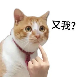 使小鸟变得困难 